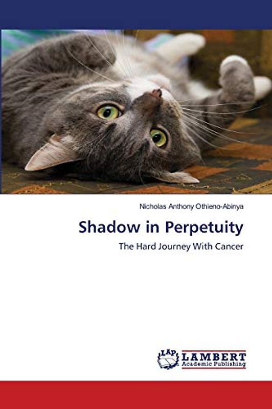 Shadow in Perpetuity: The Hard Journey With Cancer gebraucht kaufen